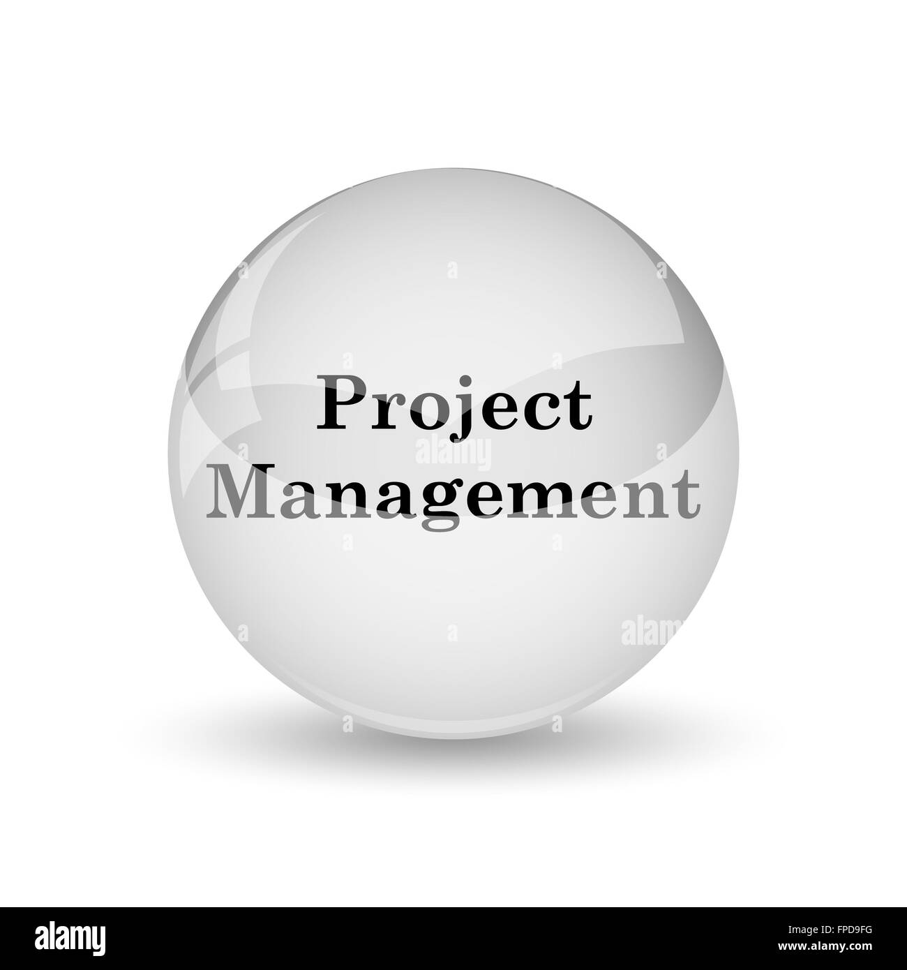 Project management icon. Internet button on white background Stock ...