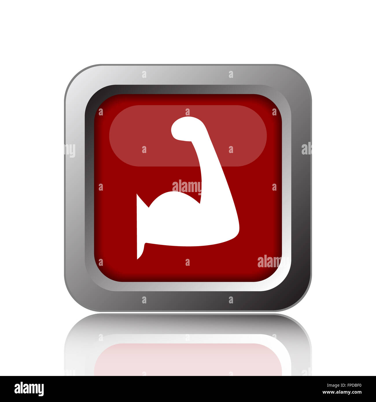 Muscle icon. Internet button on white background Stock Photo - Alamy