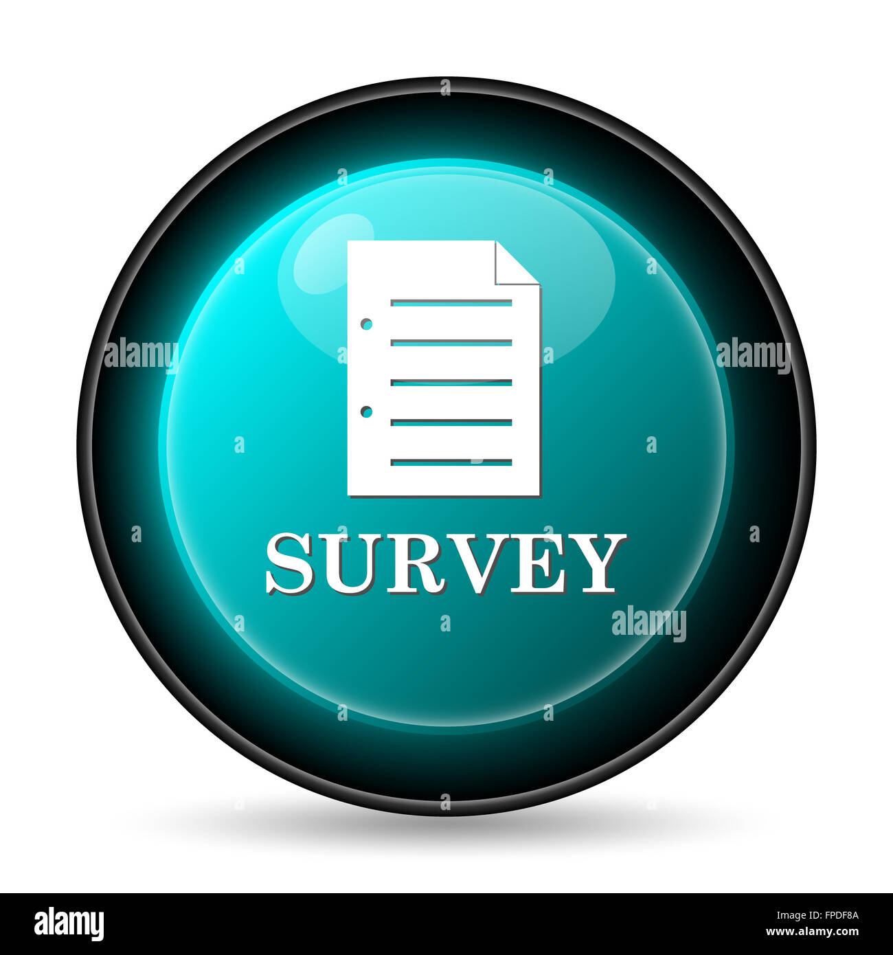 Survey icon. Internet button on white background Stock Photo - Alamy