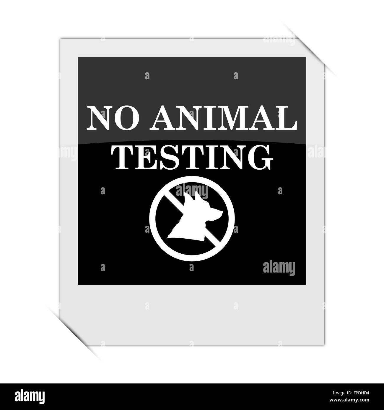 No animal testing icon within a photo on white background Stock Photo ...