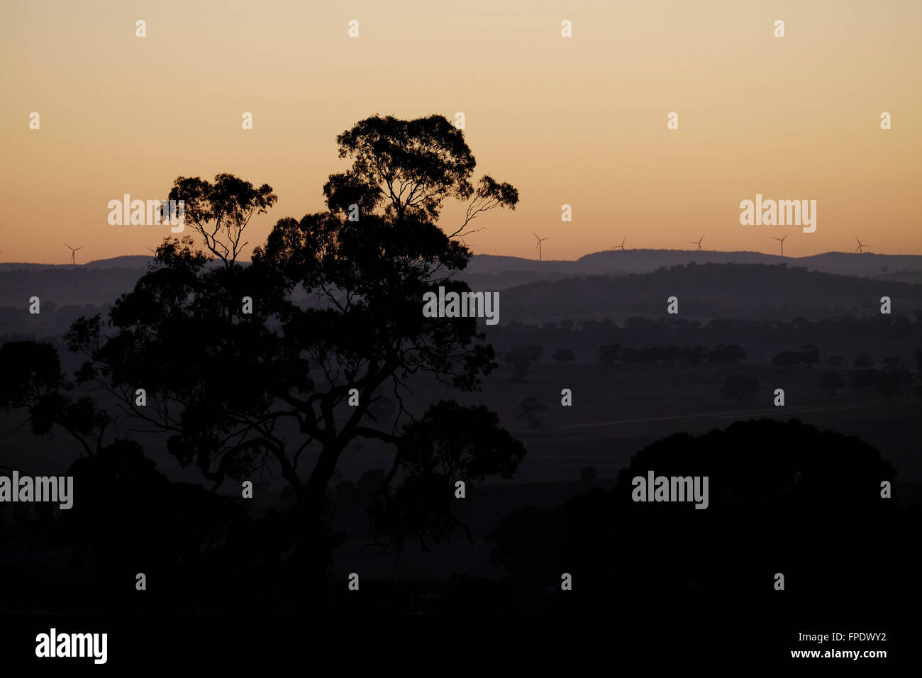 Bush sunrise hi-res stock photography and images - Alamy
