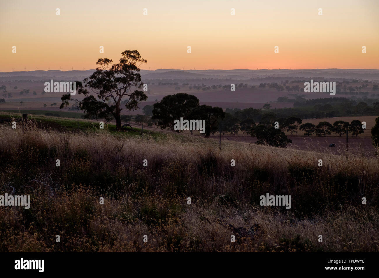 Sunrise near Leasingham, South Australia Stock Photo - Alamy