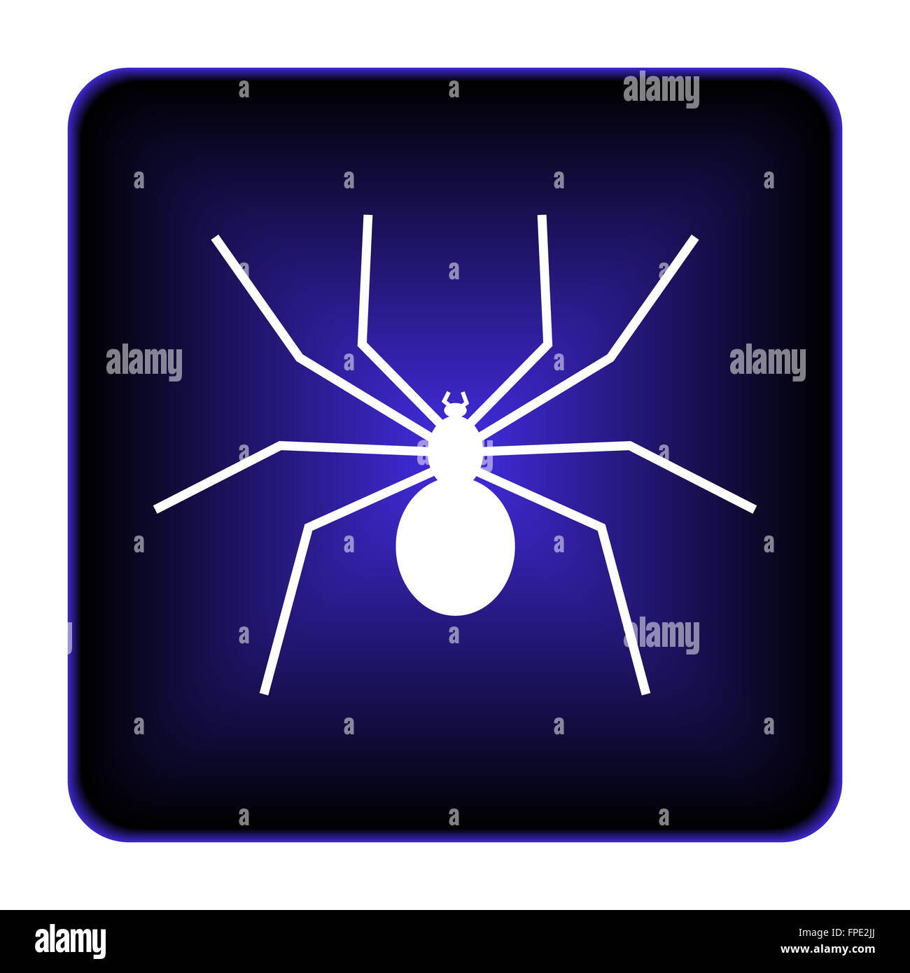 Spider icon. Internet button on white background Stock Photo - Alamy