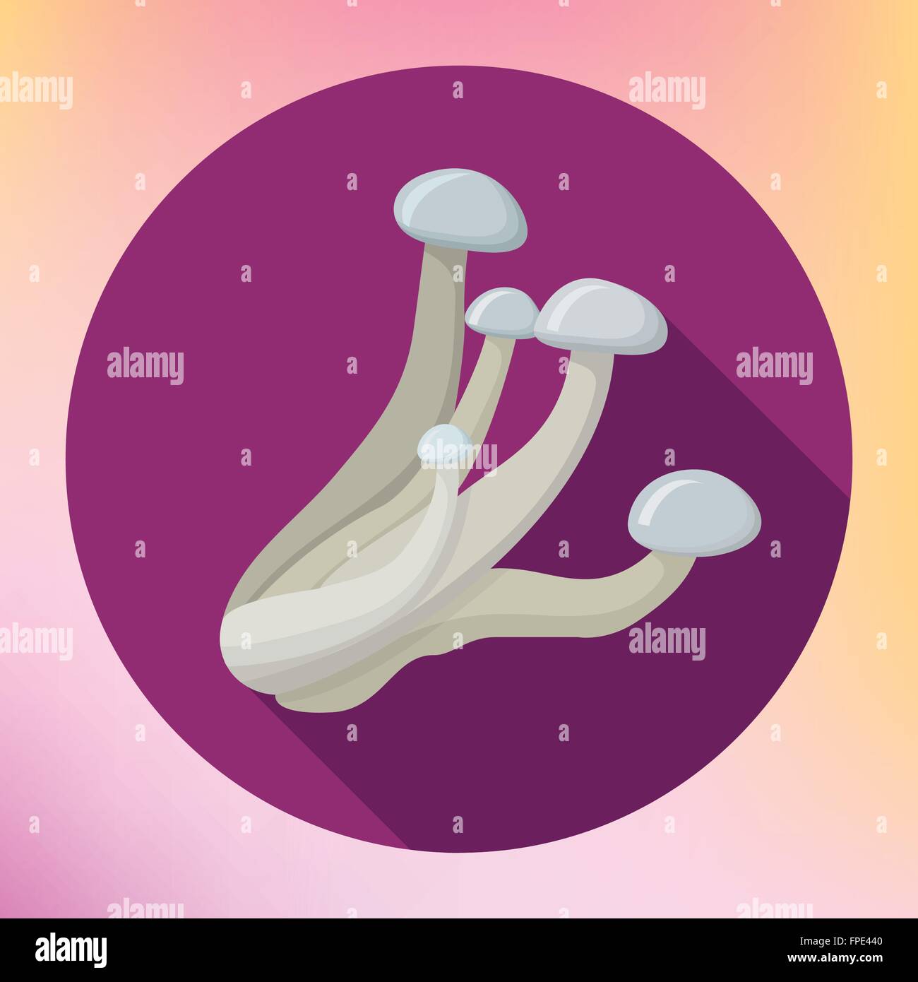 Wild boletus mushroom on Stock Vector Images - Alamy