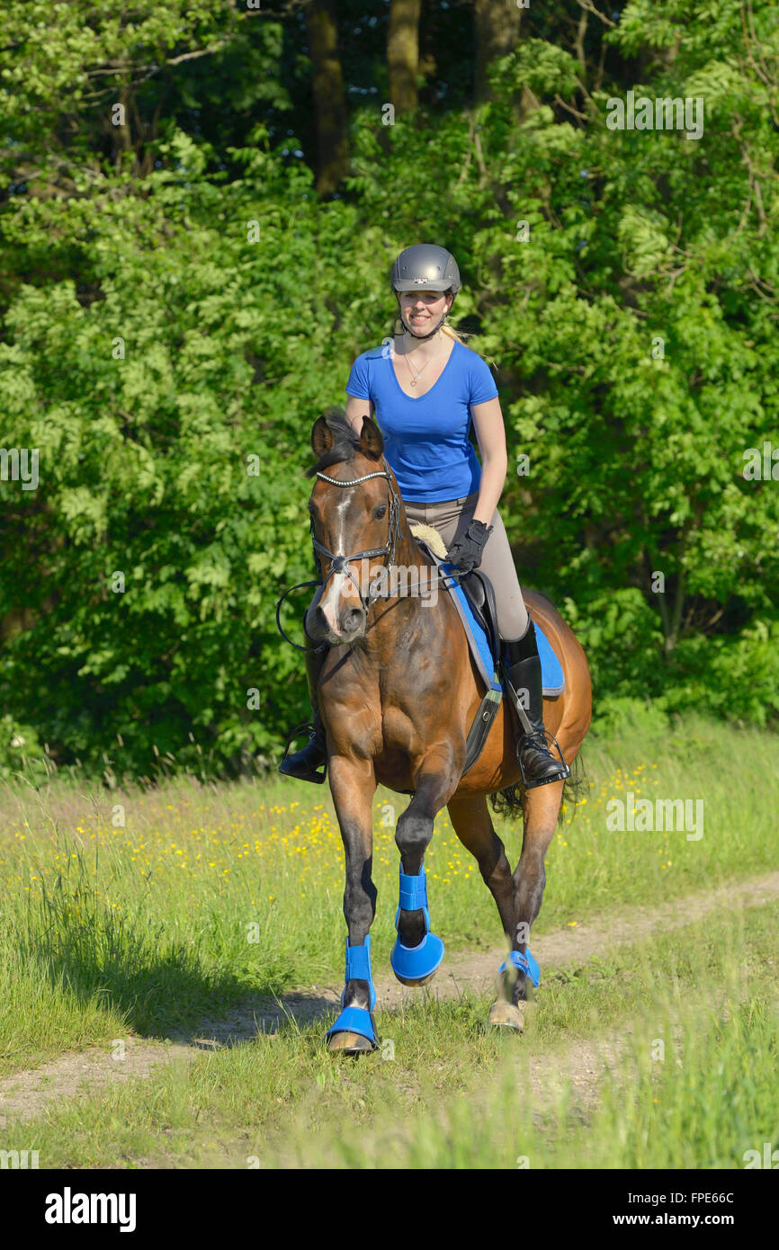 Young woman on back of a German pony riding in summer Stock Photo - Alamy