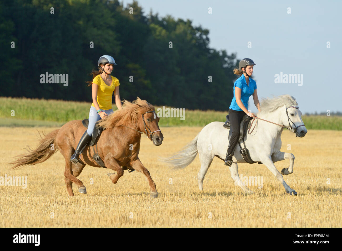 Two riders galloping hi-res stock photography and images - Alamy