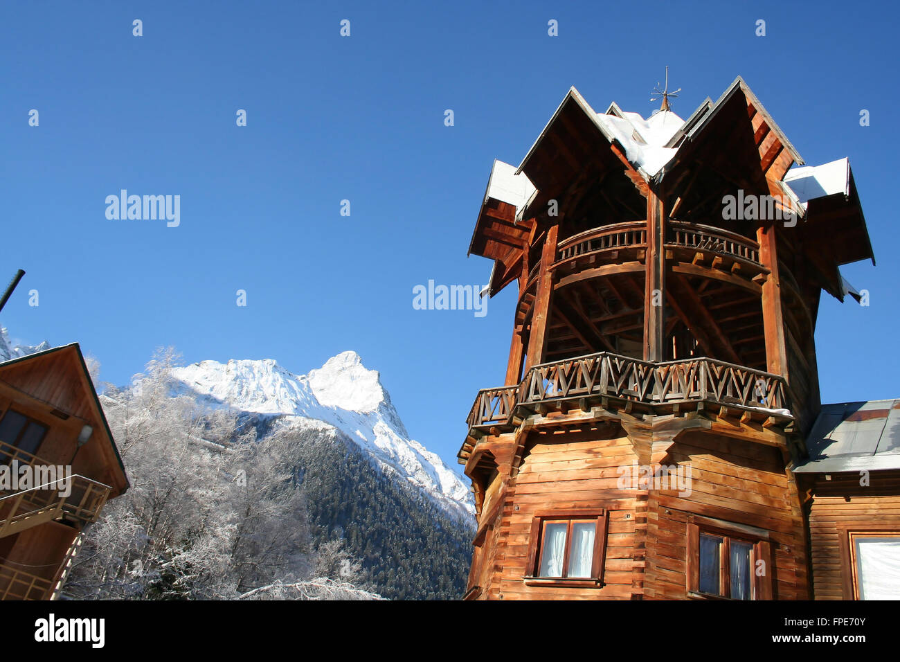 Tree tower tree top walk hi-res stock photography and images - Alamy