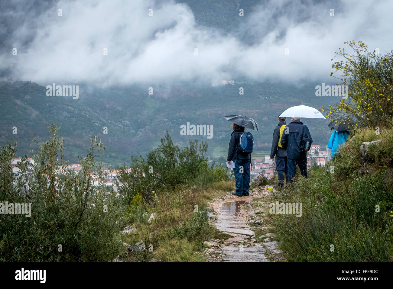 Soaking wet rain hi-res stock photography and images - Alamy