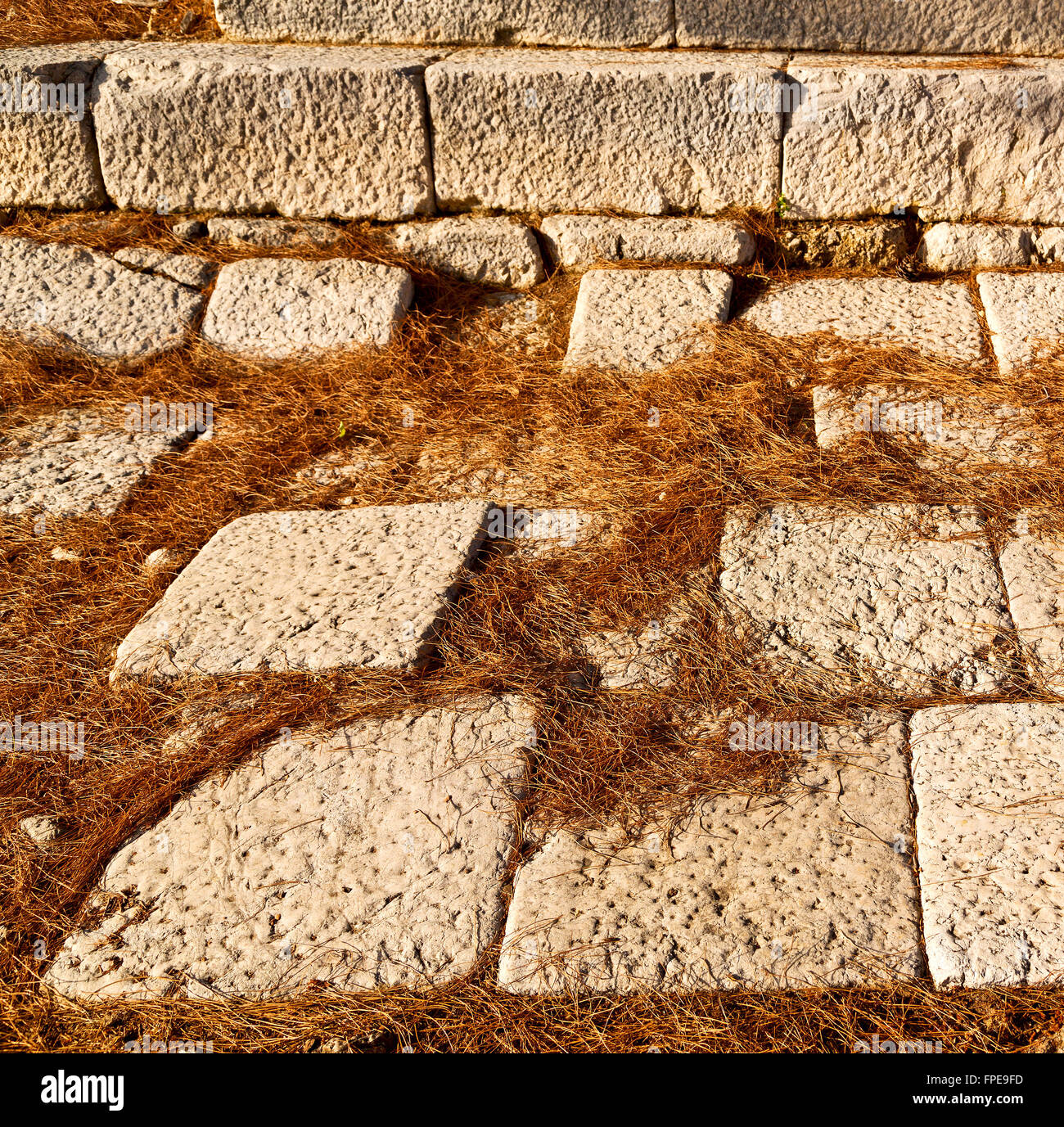 pine needles in arykanda antalya turkey asia and ruins Stock Photo - Alamy