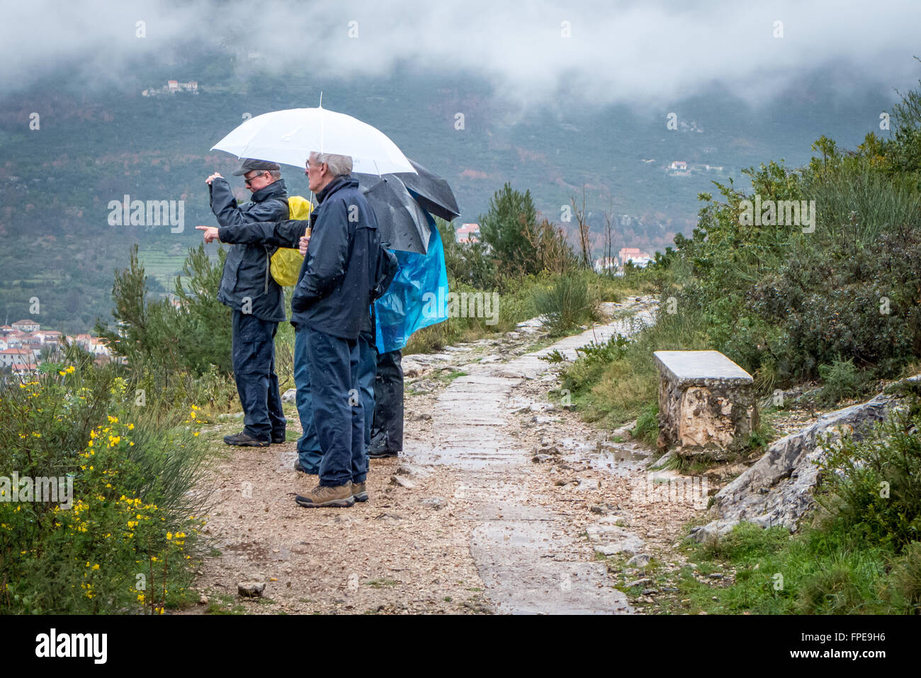 Soaking wet hi-res stock photography and images - Alamy
