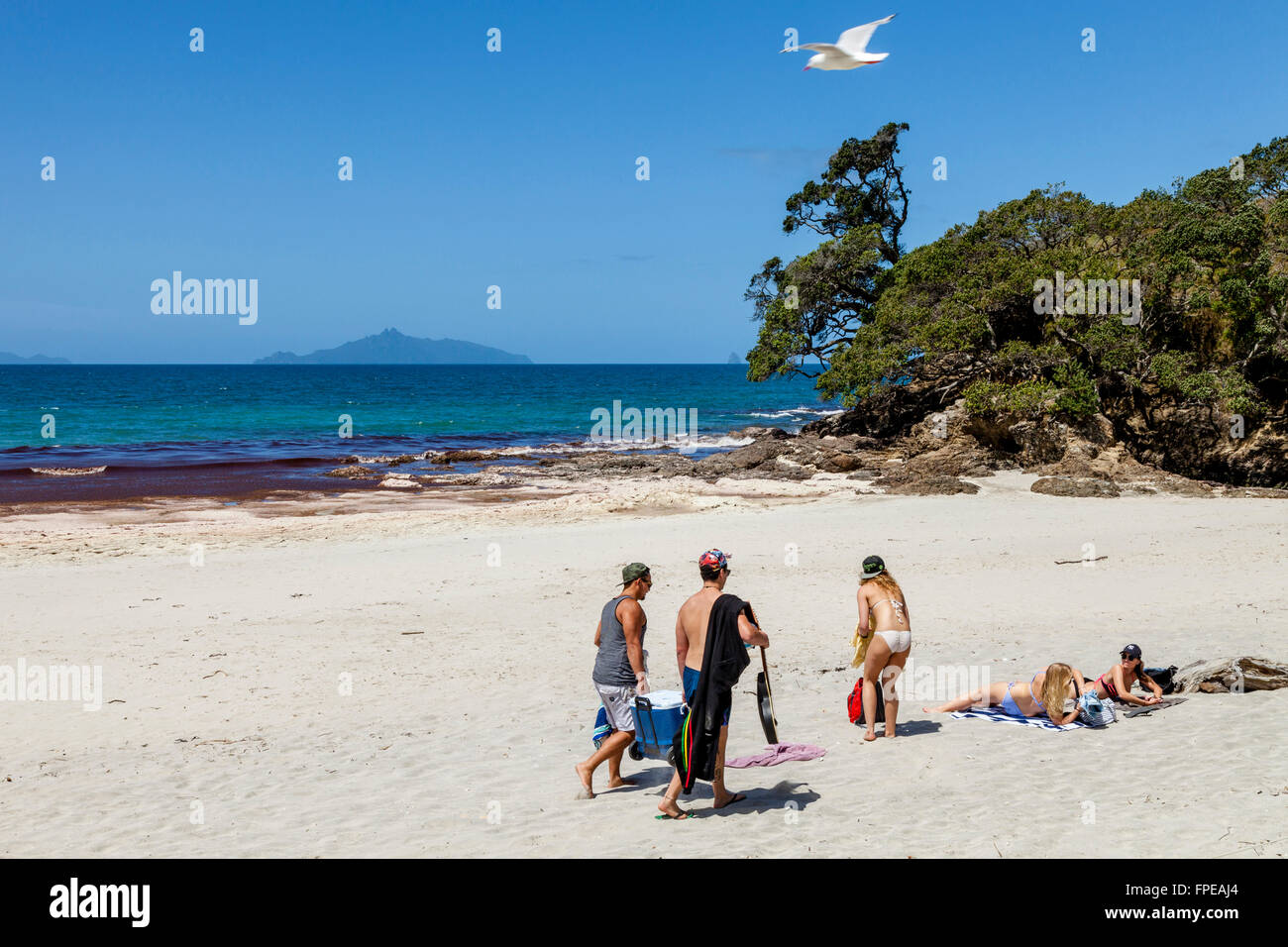 Young People On The Beach At Waipu Cove, Waipu, New Zealand Stock Photo ...