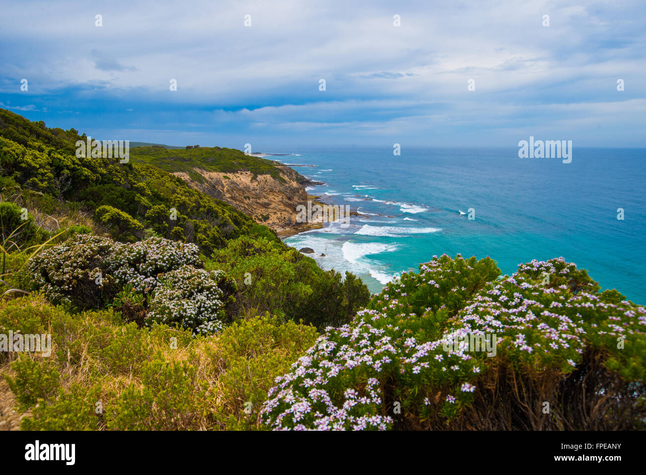 The Great Ocean Road, Victoria, Australia Stock Photo - Alamy