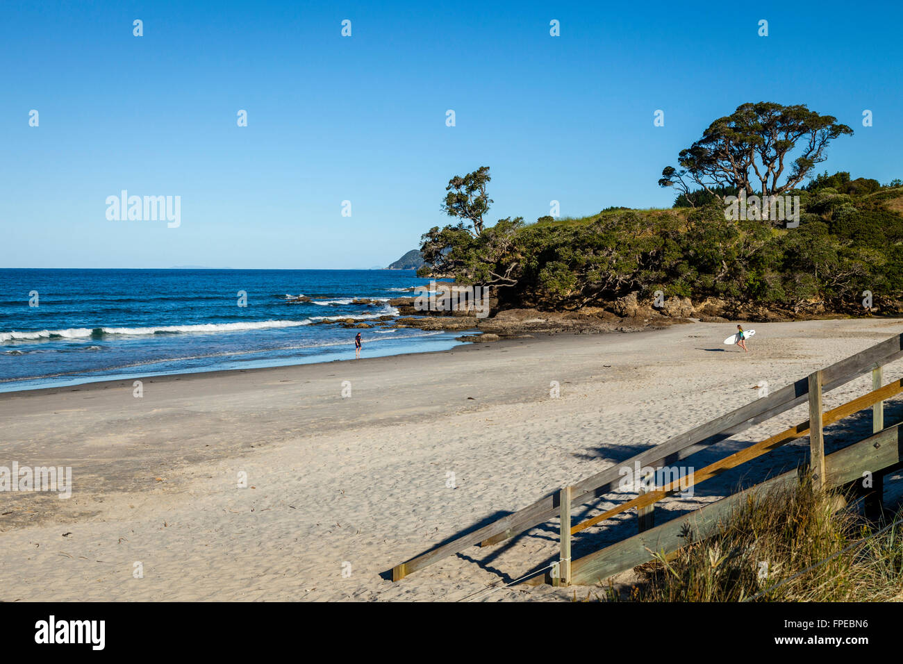 Surfing waipu cove new zealand hi-res stock photography and images - Alamy