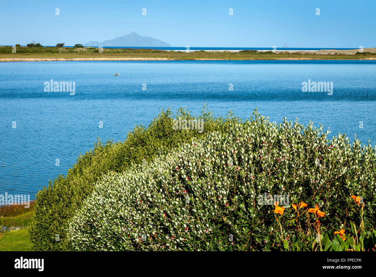 The Estuary At Waipu, Northland, New Zealand Stock Photo - Alamy