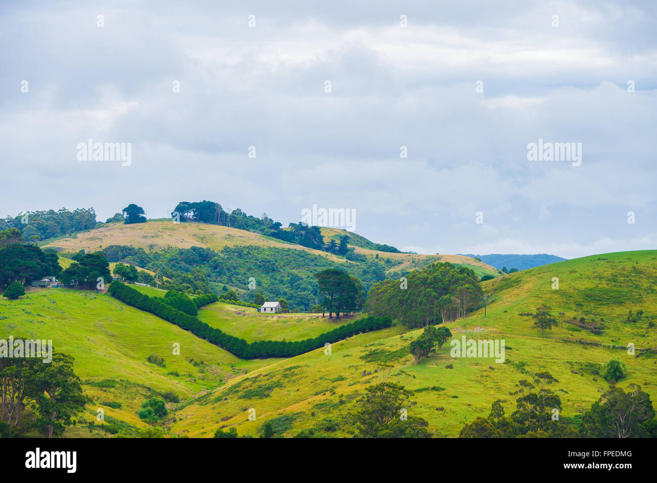 Great Otway National Park along the Great Ocean Road, Victoria ...
