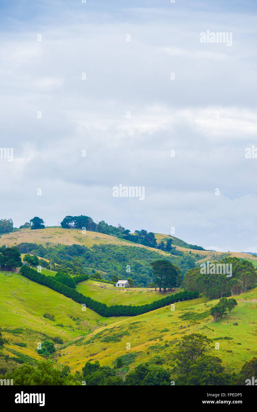 Great Otway National Park along the Great Ocean Road, Victoria ...