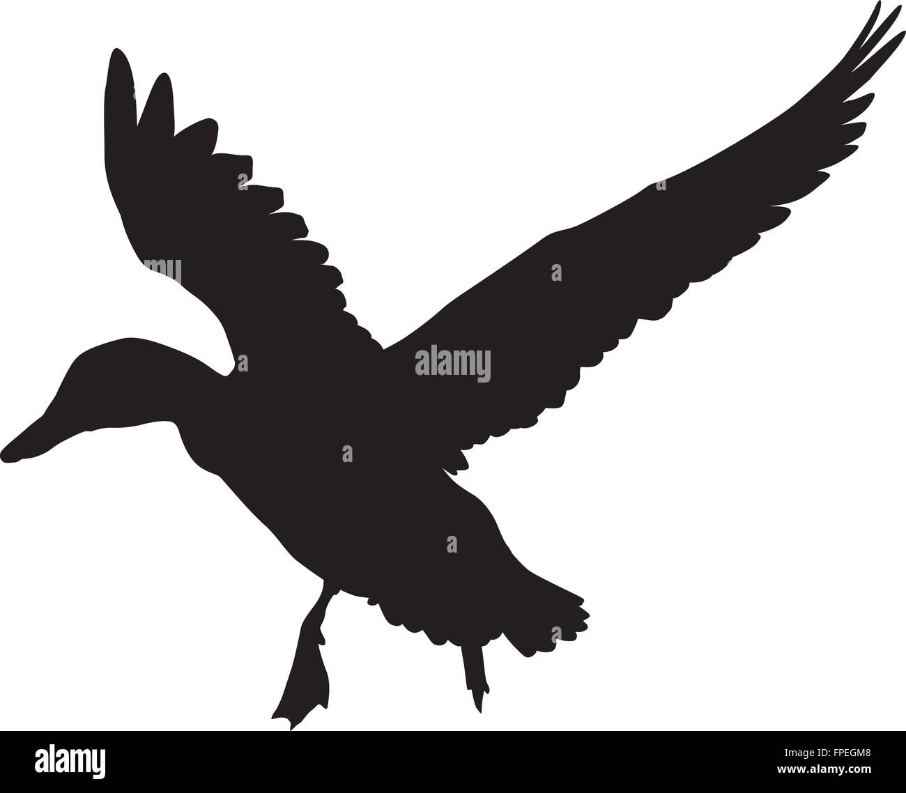 Vector duck silhouette Stock Vector Image & Art - Alamy