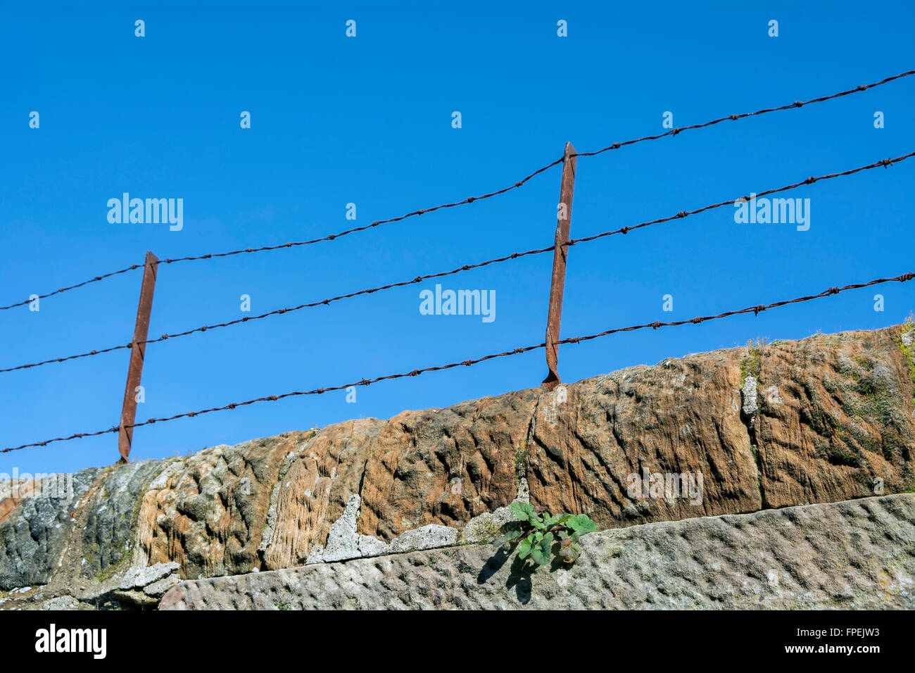 Old style barbed wire topped wall to deter intruders Stock Photo - Alamy