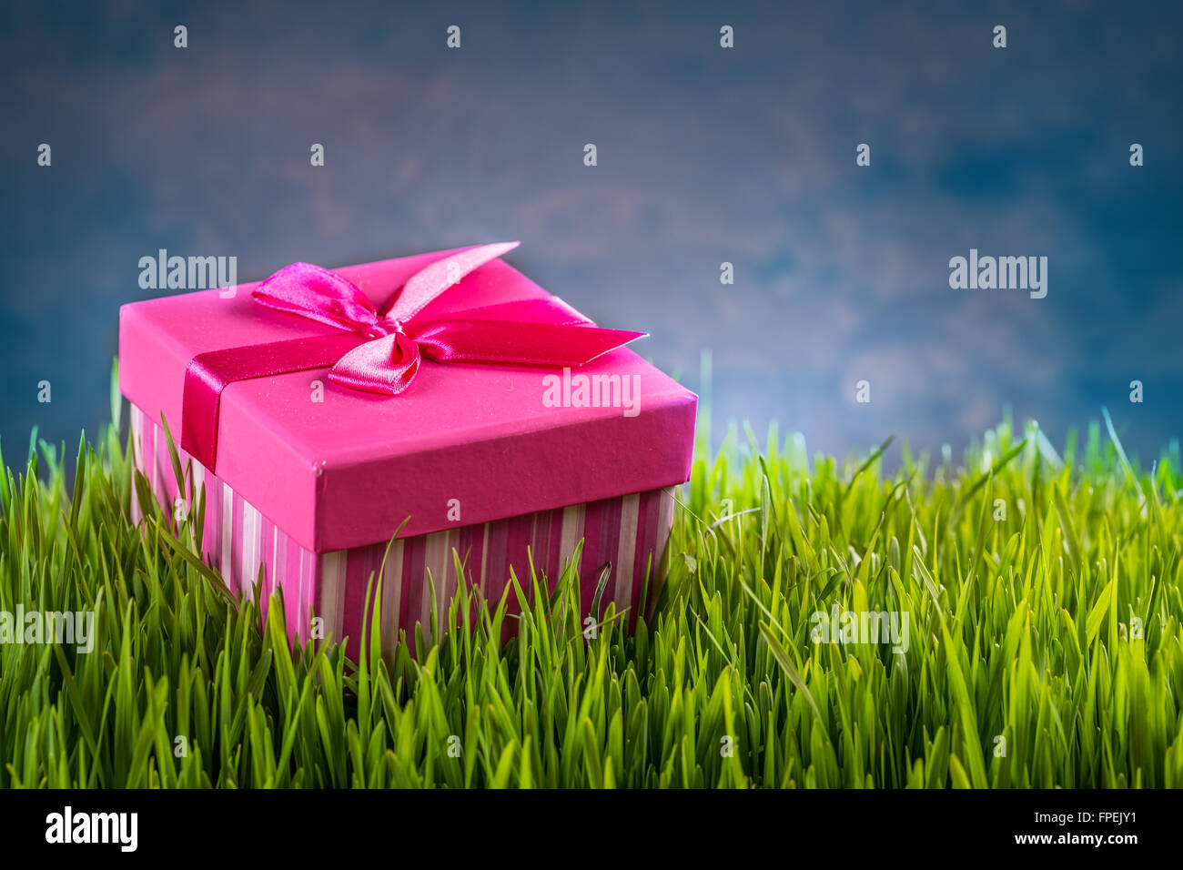 Gift box on the green grass Stock Photo - Alamy
