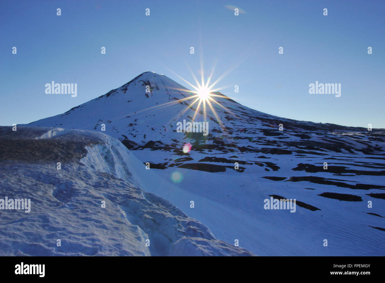 Las araucarias hi-res stock photography and images - Alamy