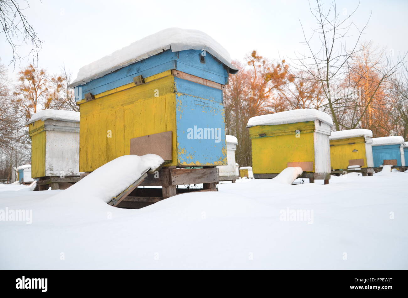 Beehives in apiary covered with snow in wintertime Stock Photo - Alamy