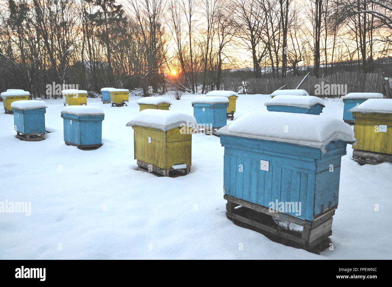 Beehives in apiary covered with snow in wintertime Stock Photo - Alamy