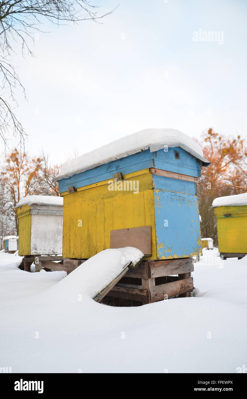Beehives in apiary covered with snow in wintertime Stock Photo - Alamy