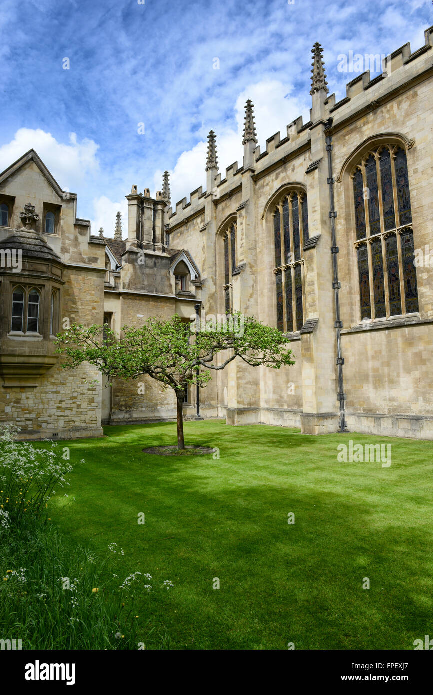 Gothic Tudor High Resolution Stock Photography and Images - Alamy