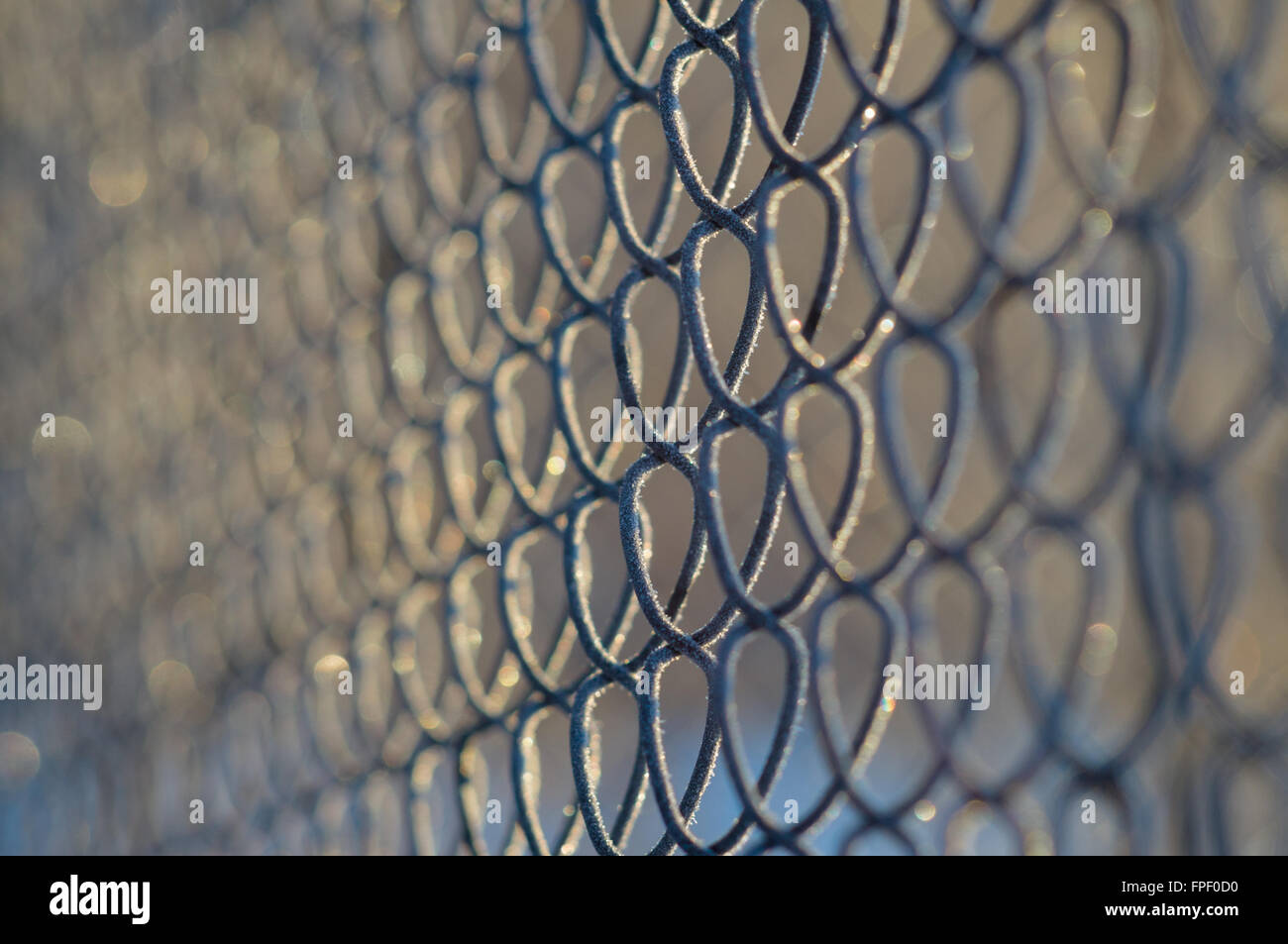 Wire mesh fence hi-res stock photography and images - Alamy