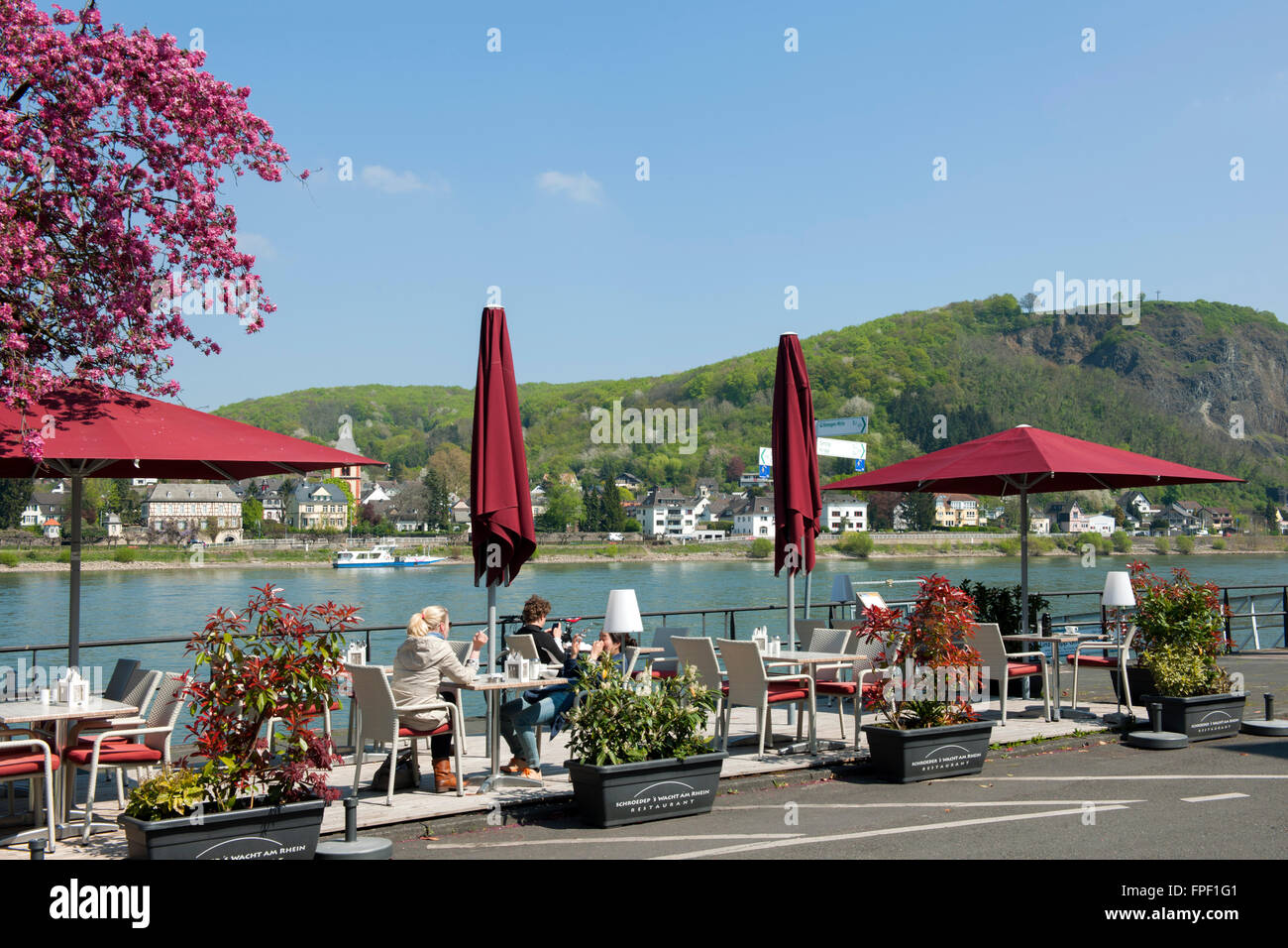 Deutschland, Rheinland-Pfalz, Remagen, Rheinpromenade, am ...