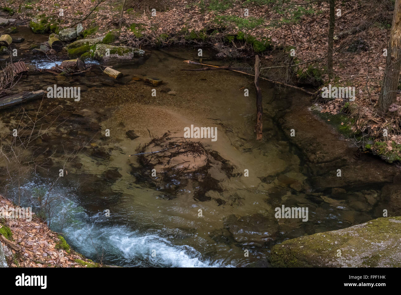 A small pool in a stream in a central Pennsylvanian forest Stock Photo ...