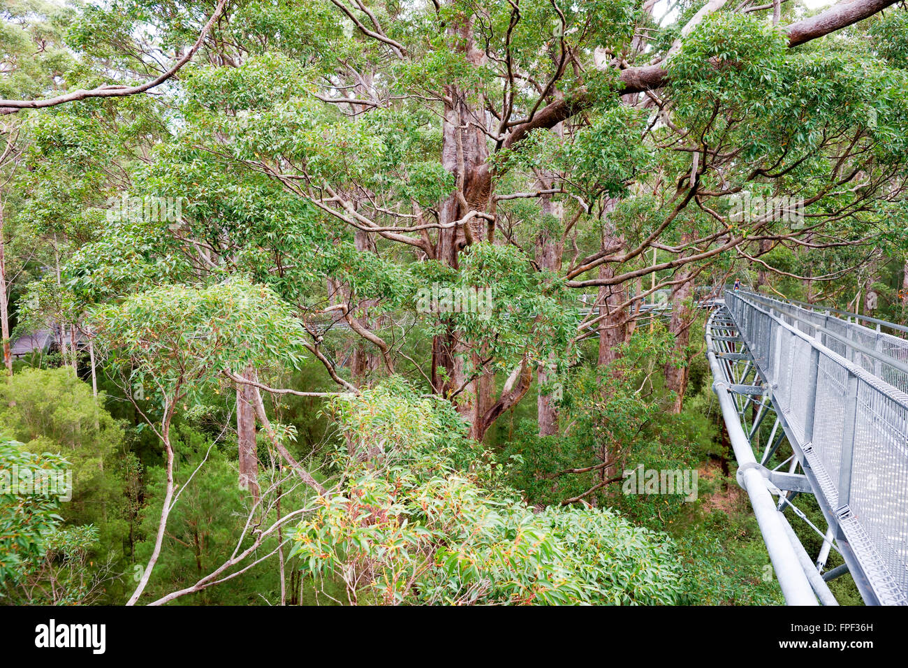 Scotsdale road australia hi-res stock photography and images - Alamy