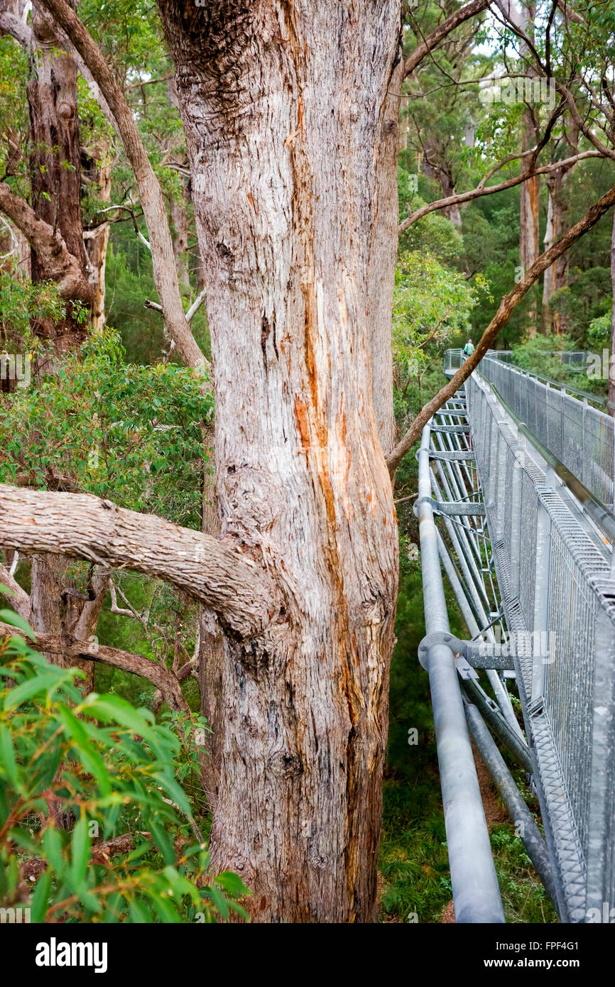 Scotsdale road australia hi-res stock photography and images - Alamy