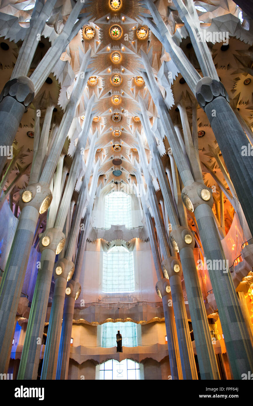 Branching Columns High Resolution Stock Photography and Images - Alamy