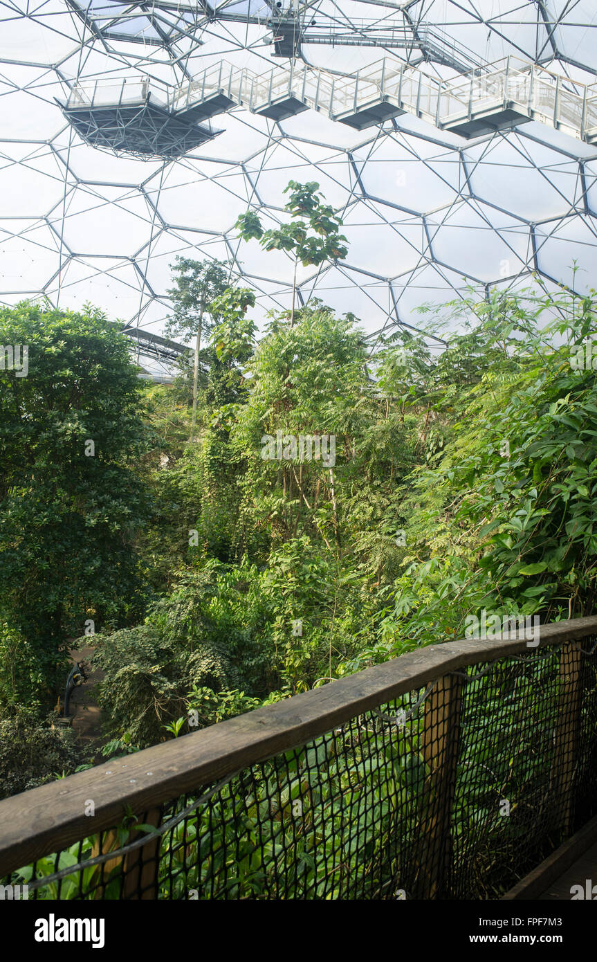 The Lookout, Eden Project Stock Photo - Alamy