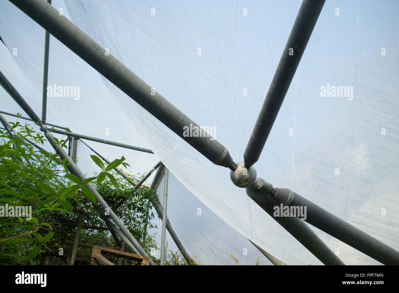 The Biome Structure, Eden Project Stock Photo - Alamy