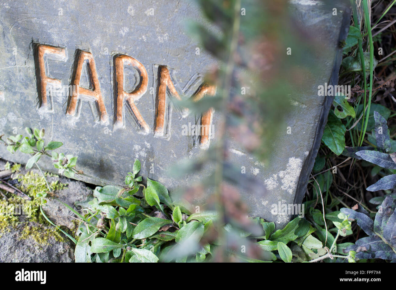 Cornish farmer hi-res stock photography and images - Alamy