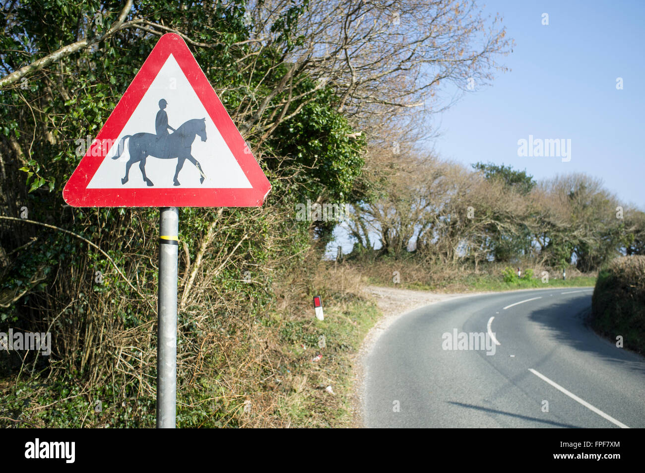 A sign warning drivers of potential horse riders Stock Photo - Alamy