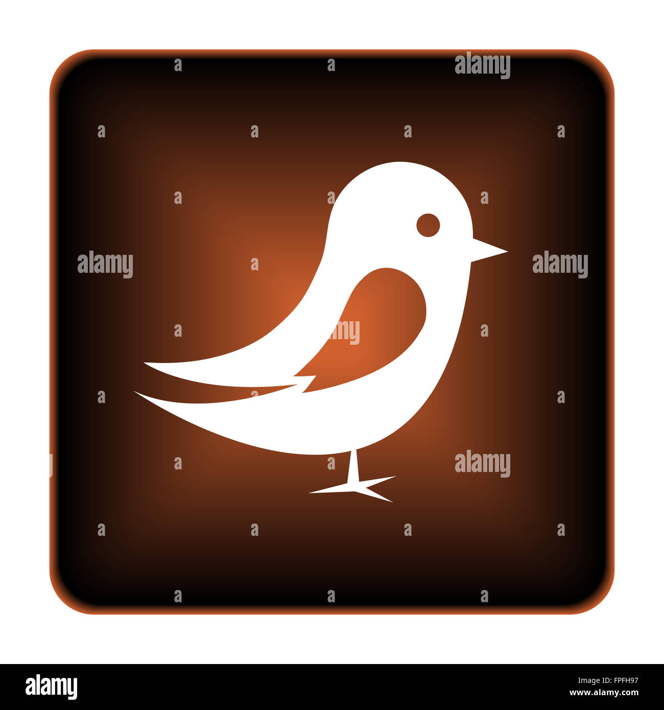 Bird icon. Internet button on white background Stock Photo - Alamy