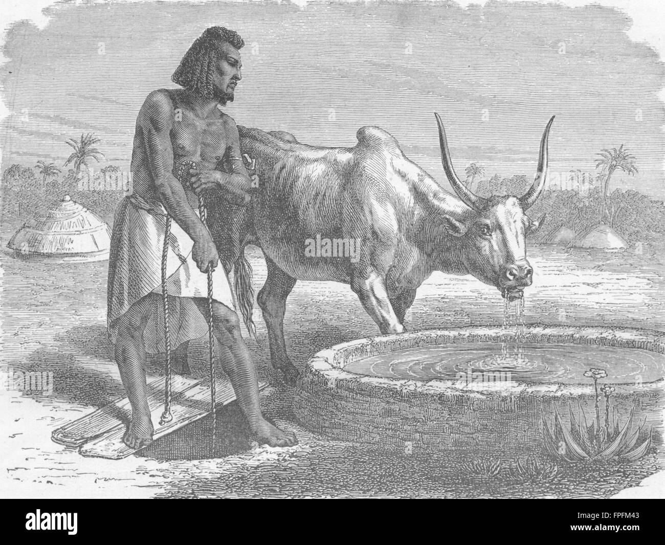 ERITREA: Samhar peasant at a well, antique print 1880 Stock Photo - Alamy
