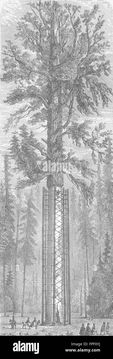 Royal father Black and White Stock Photos & Images - Alamy