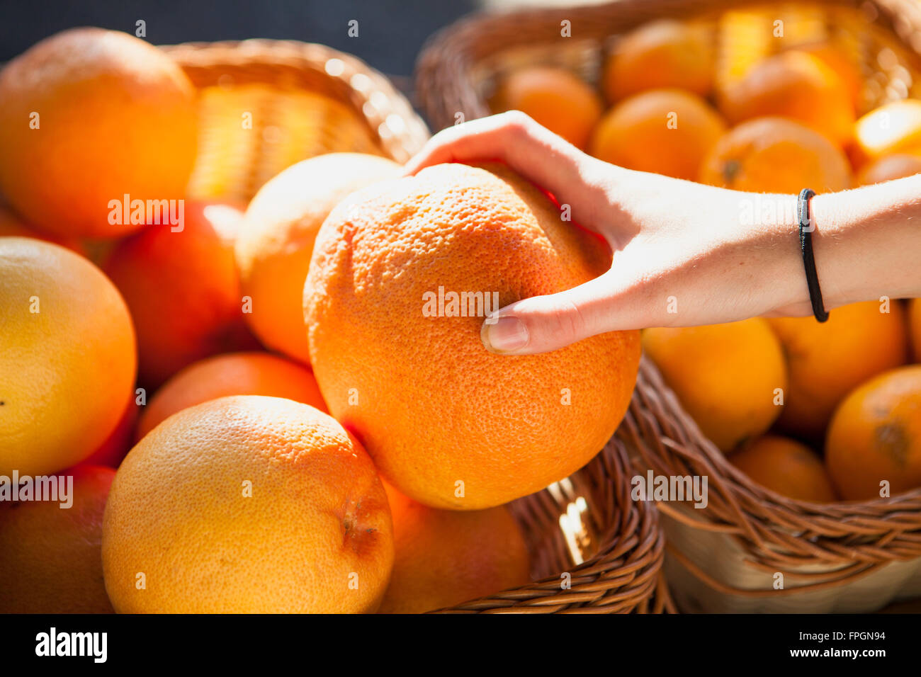 Cal Poly Organic Farm Produce Stand, Downtown Farmers Market, San Luis ...