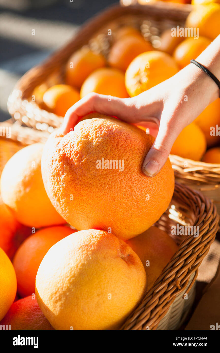 Cal Poly Organic Farm Produce Stand, Downtown Farmers Market, San Luis ...