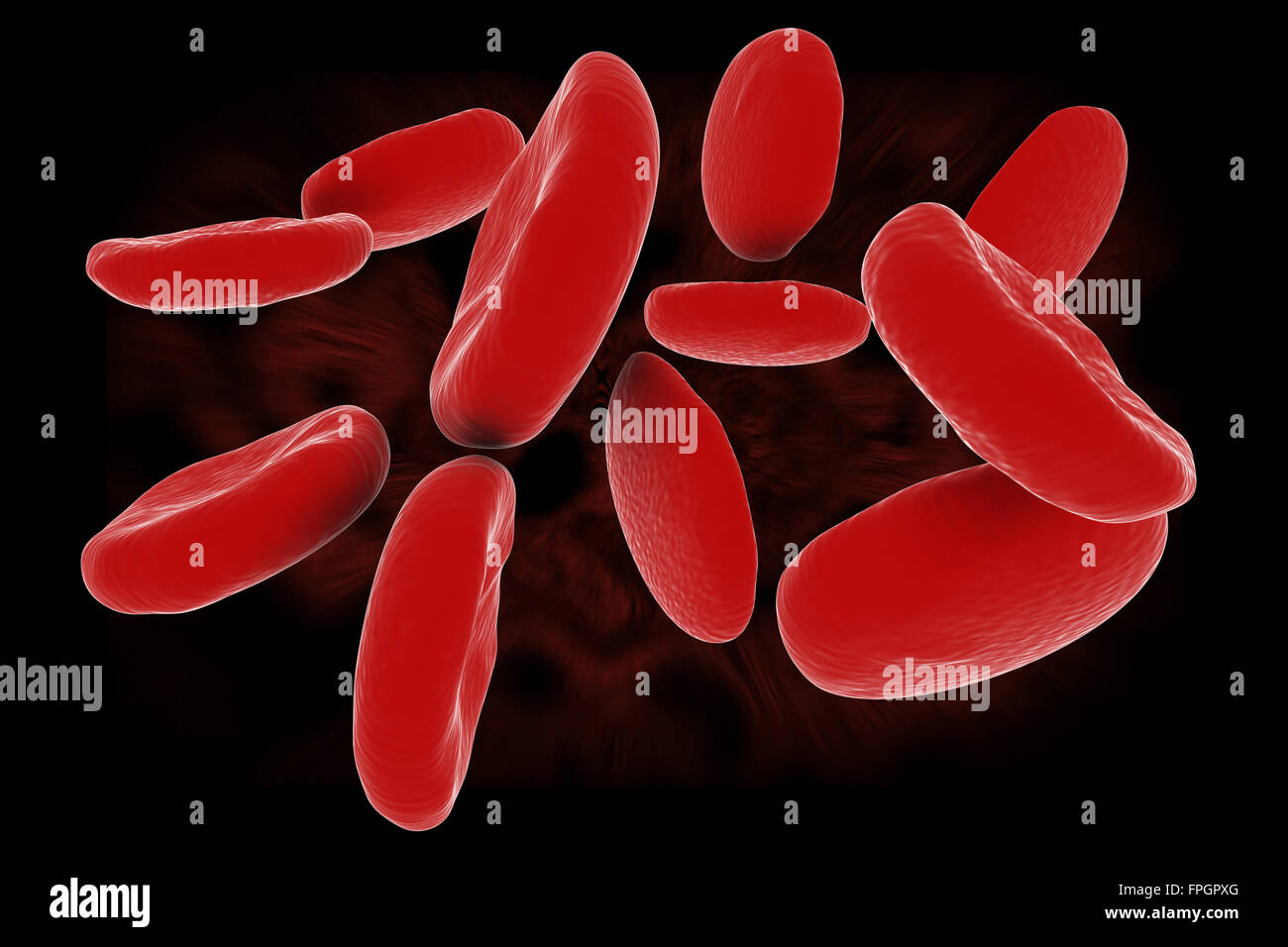 Blood cells , This is a computer generated and 3d rendered picture ...