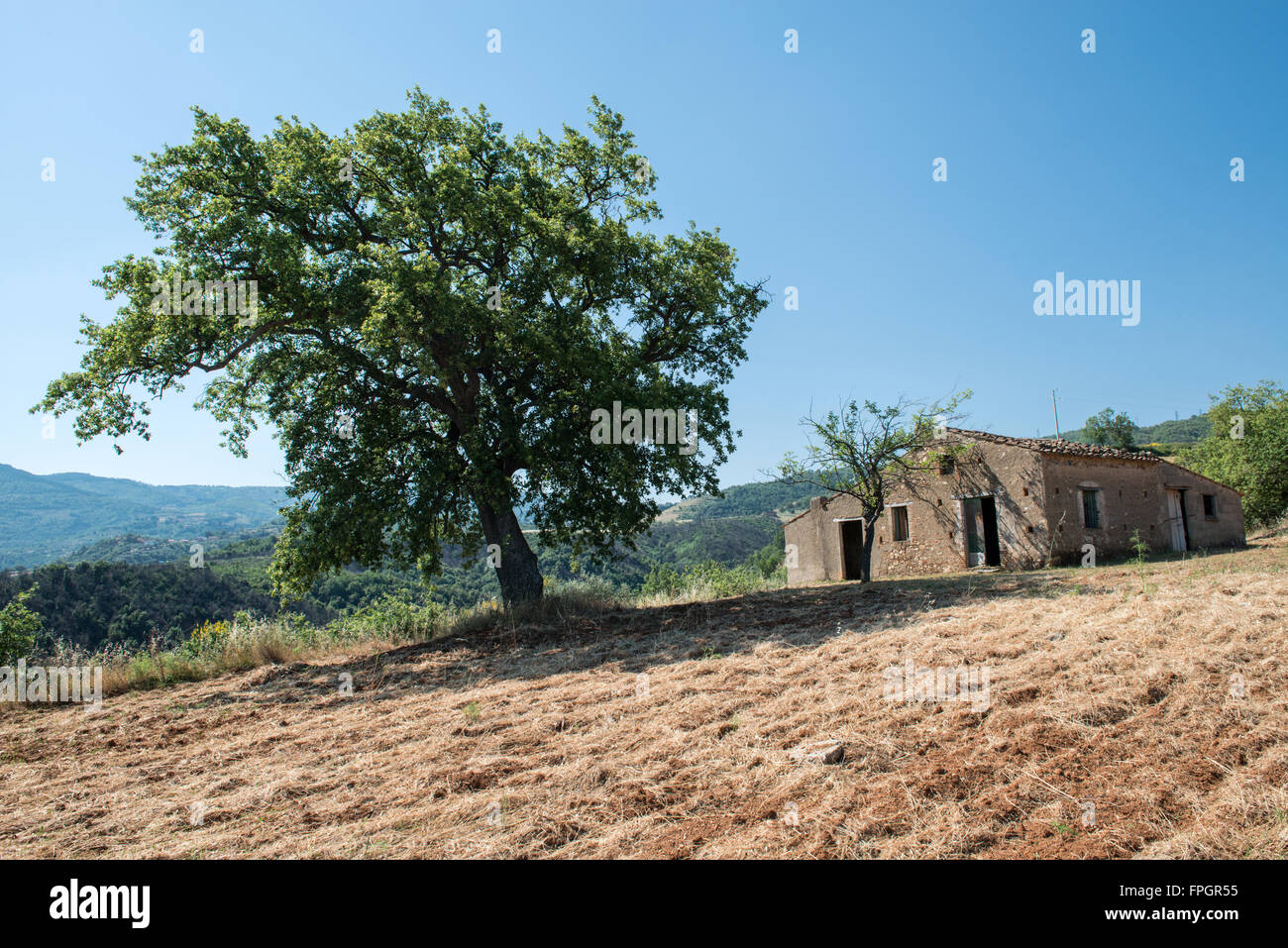 century-old house with a hundred year old tree in the mountains ...
