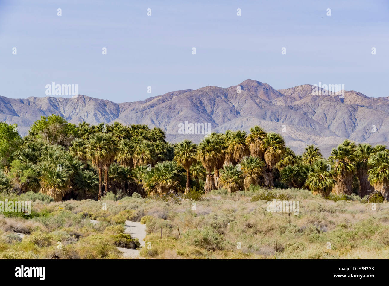 Coachella valley preserve hi-res stock photography and images - Alamy
