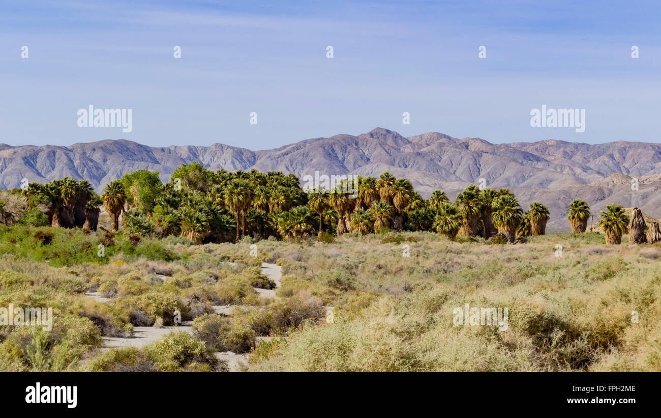 Coachella Stock Photos & Coachella Stock Images - Alamy