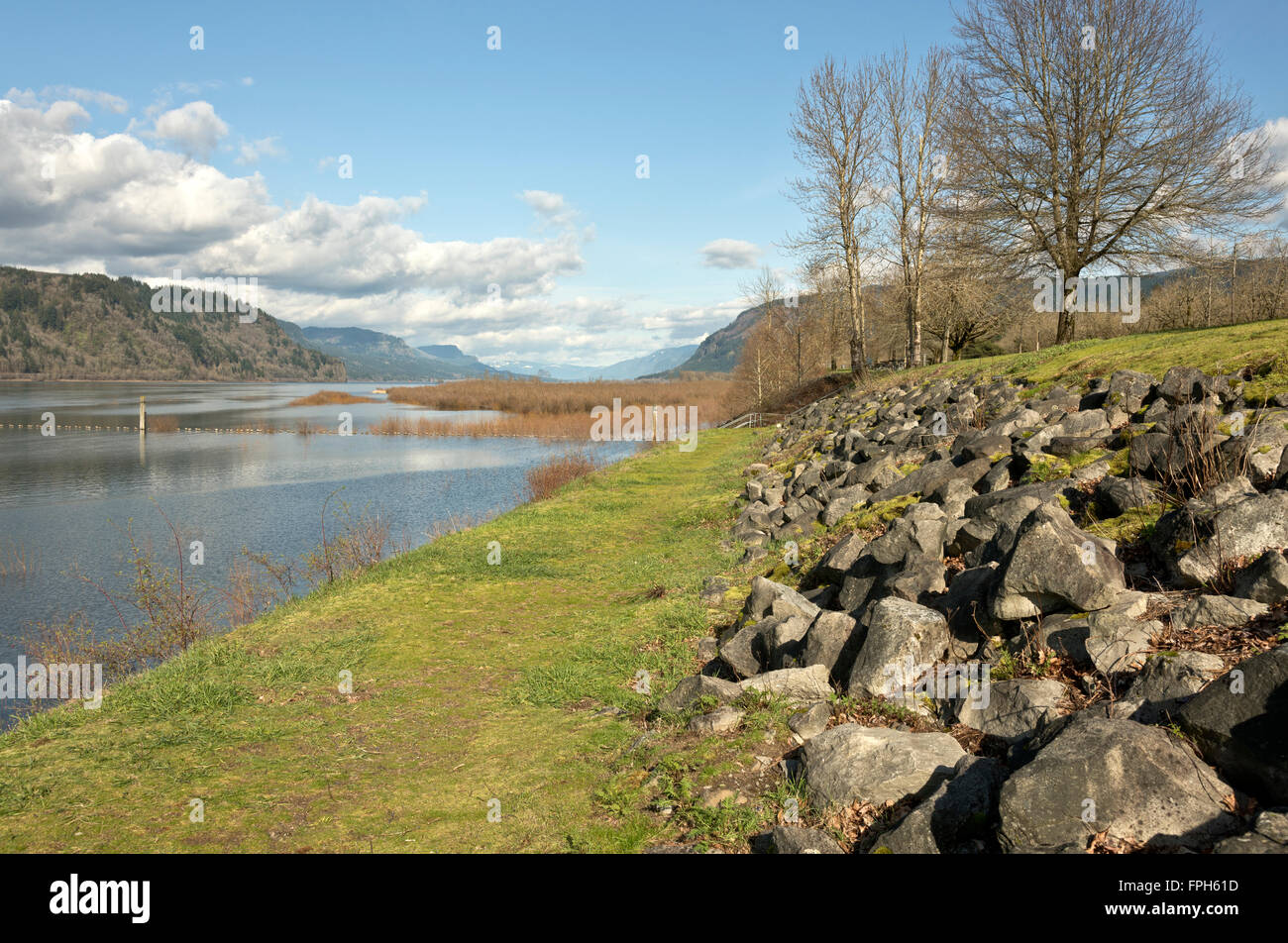 Rooster rock state park Oregon state Stock Photo - Alamy
