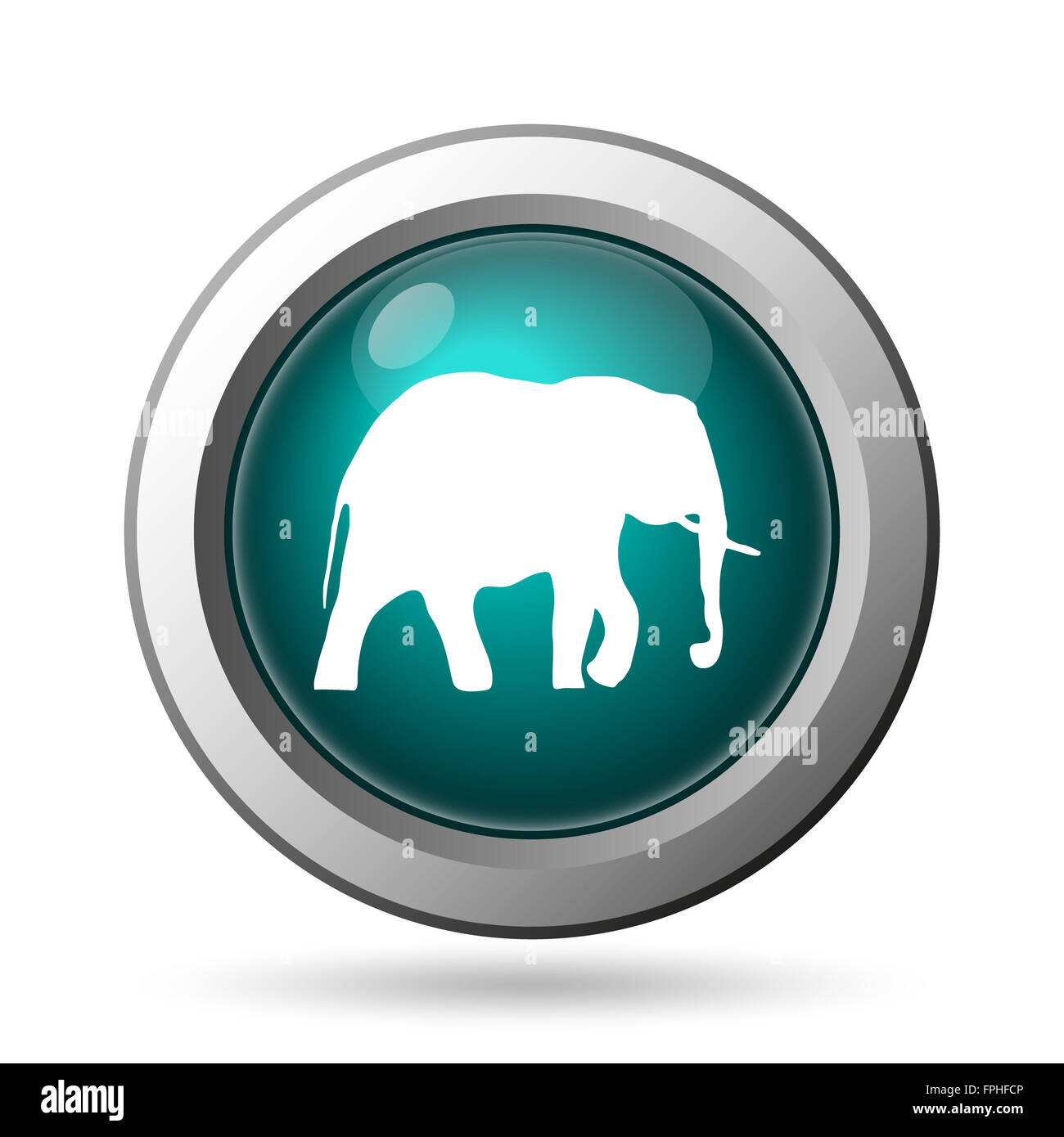 Elephant icon. Internet button on white background Stock Photo - Alamy