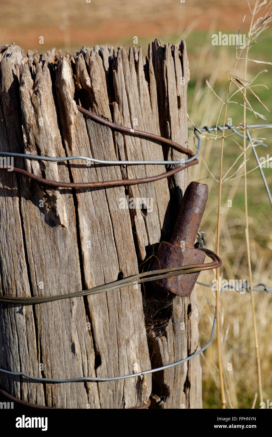 Barbed Wire fencing Stock Photo - Alamy